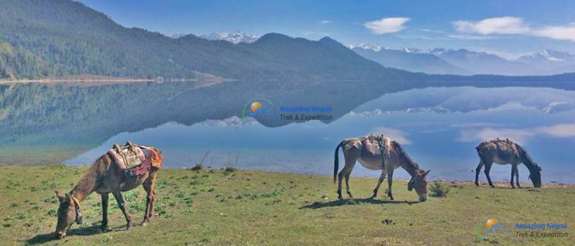 Rara Lake Trek Cost | Rara Lake Trek Itinerary 15 Days | Rara Lake ...